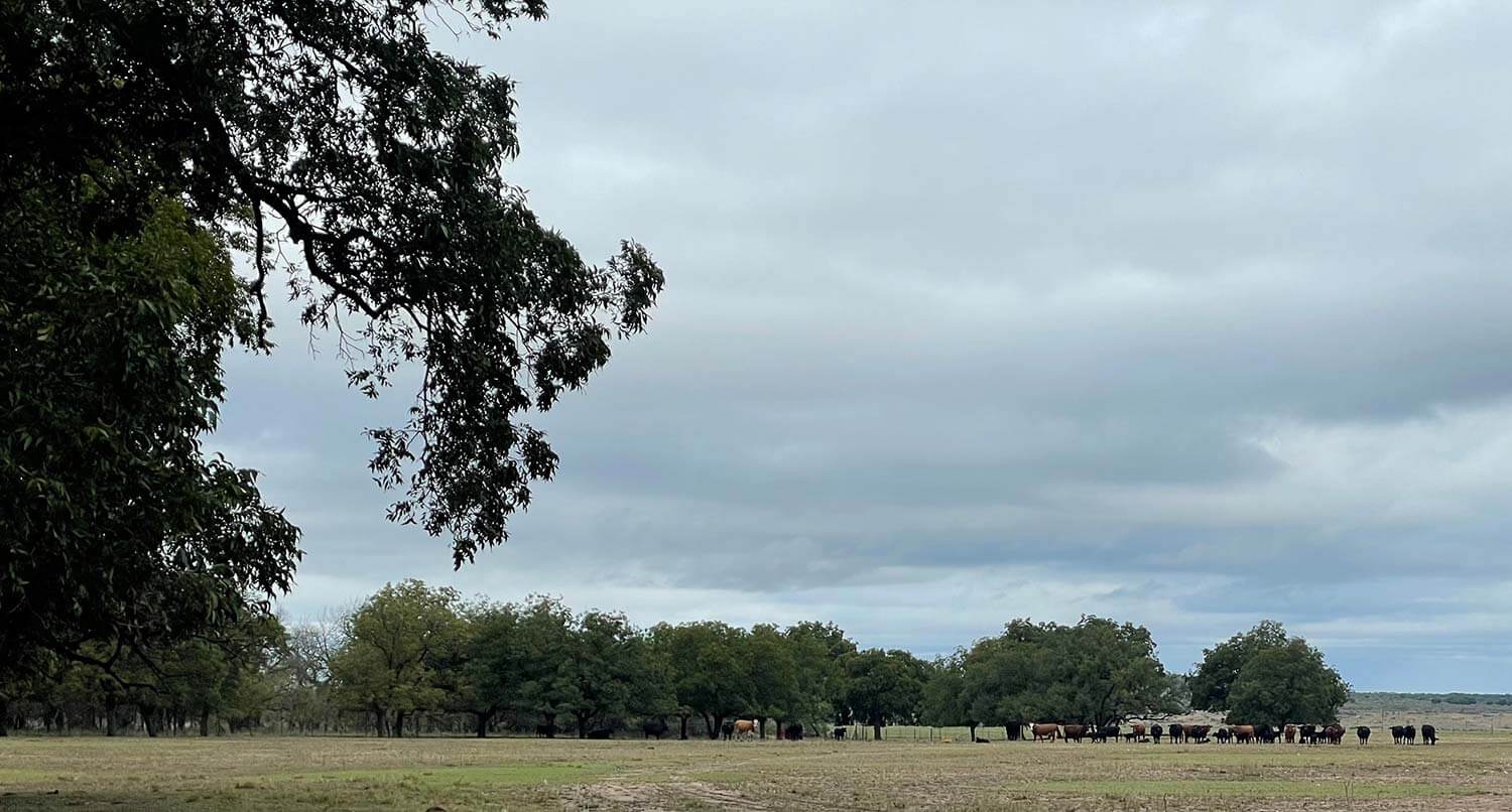 Photos Around the Ranch | TK Cattle | Menard TX